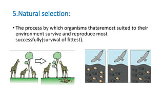 MECHANISM EVOLUTION | PPTX | Genetics | Science