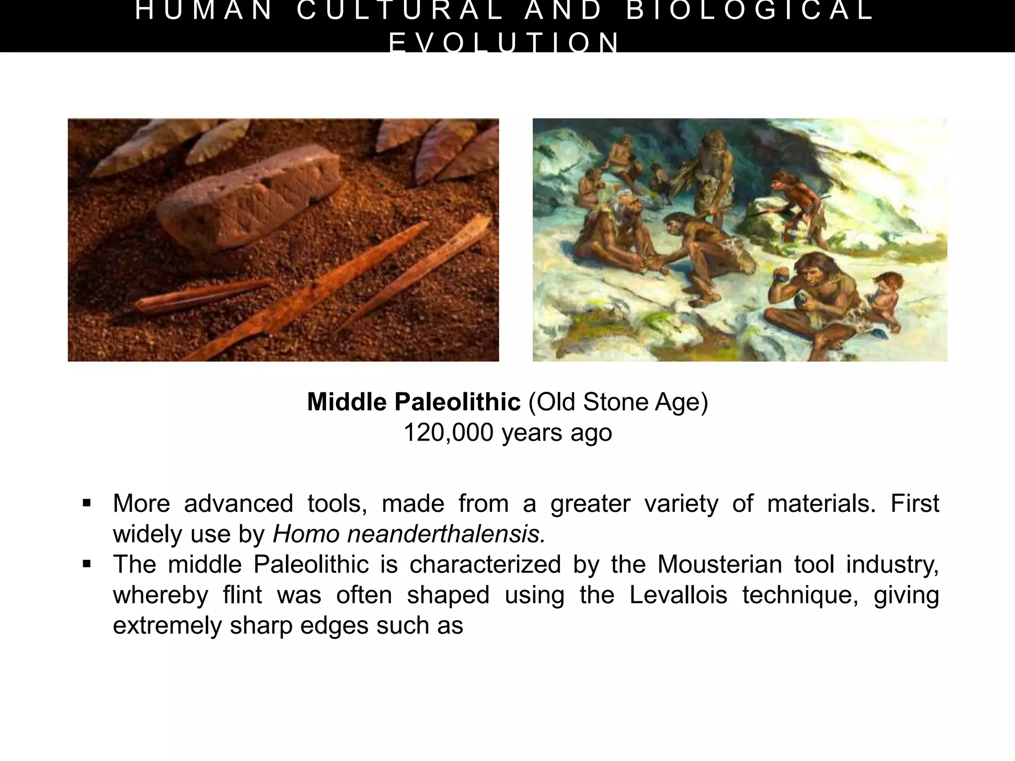 UCS&P: Evolution | PPTX | Woodworking | Arts and Crafts