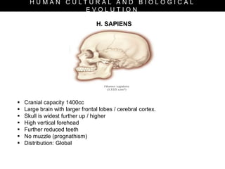 UCS&P: Evolution | PPTX
