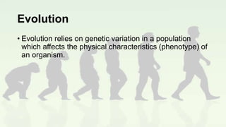 Evolution.pptx