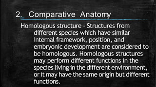 EVOLUTION.pptx