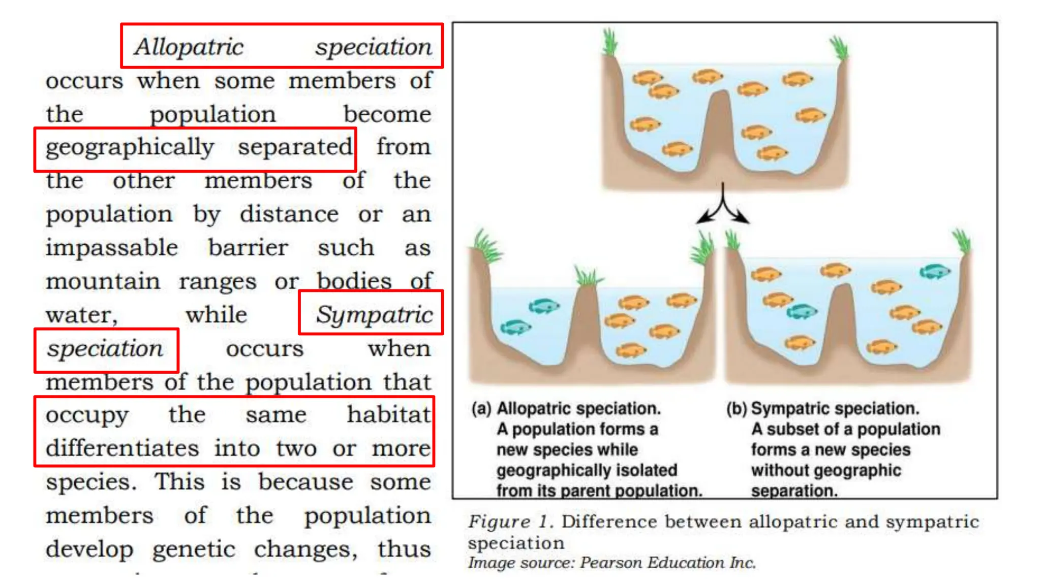 Evolution Pptx General Biology 2 Module Pdf Pptx