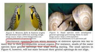 Evolution.pptx general biology 2 module pdf | PPTX | Geography | Science