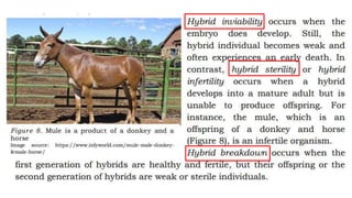 Evolution.pptx general biology 2 module pdf | PPTX | Geography | Science
