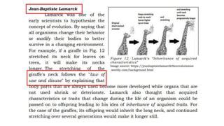 Evolution.pptx general biology 2 module pdf | PPTX | Geography | Science