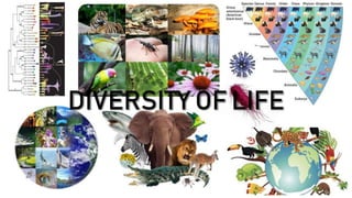 Evolution.pptx general biology 2 module pdf | PPTX