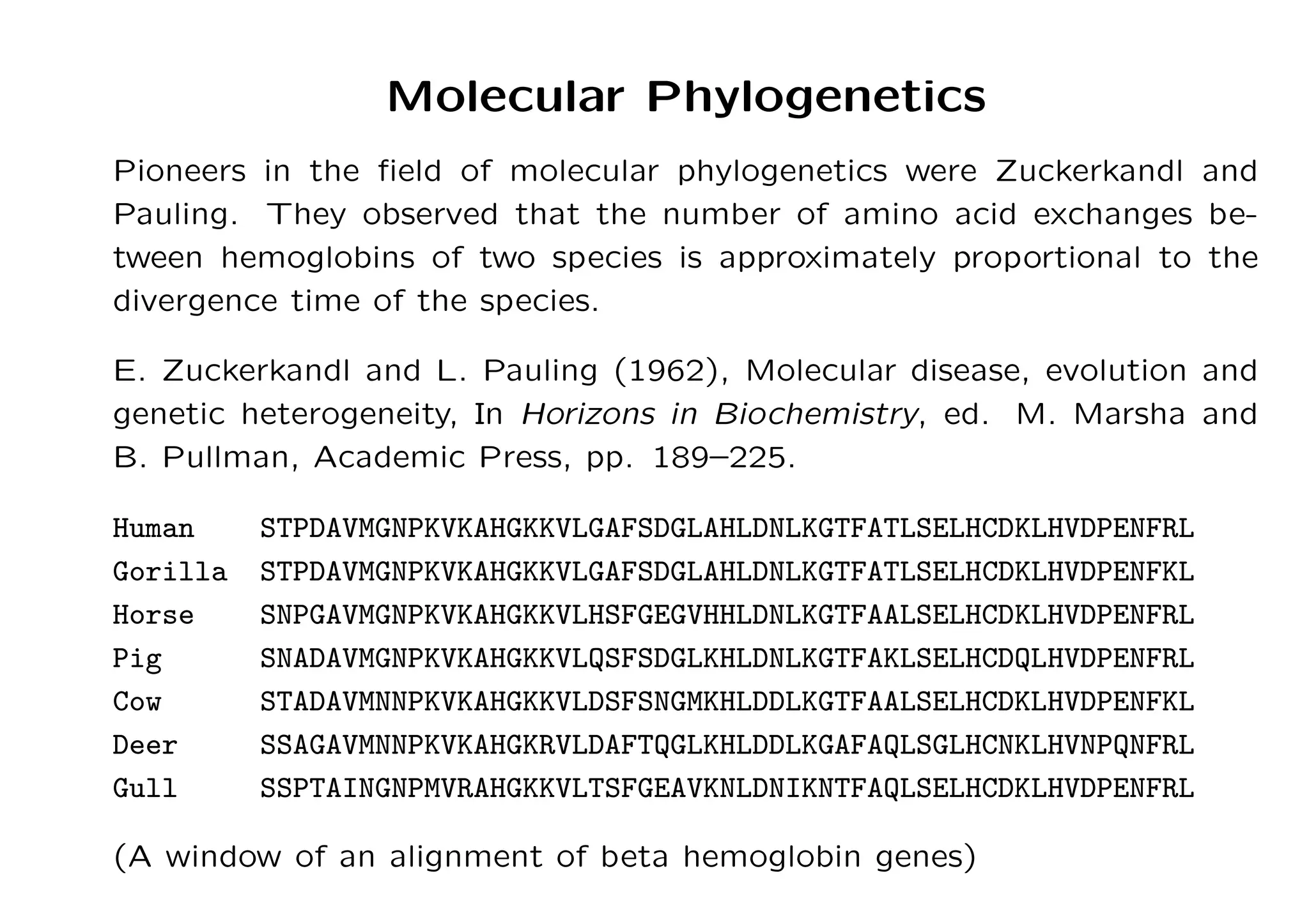 evolution and molecular phylogenetics.pdf