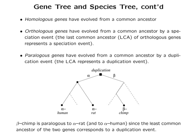 evolution and molecular phylogenetics.pdf