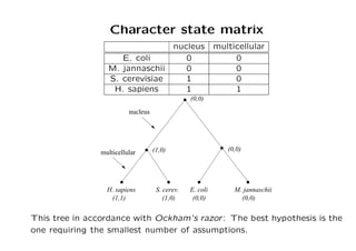evolution and molecular phylogenetics.pdf