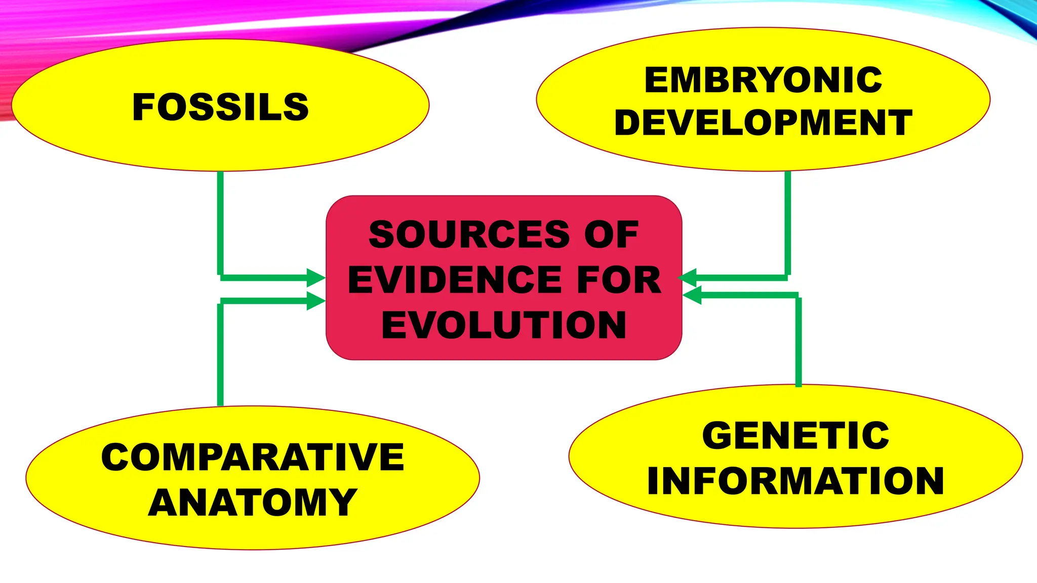 Science 10 - Evolution Powerpoint Presen | PPTX