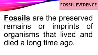 Science 10 - Evolution Powerpoint Presen | PPTX