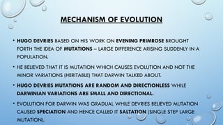EVOLUTION.pptxfjdjsjwjwjajsksiwiwwiwiwisizjsj | PPT