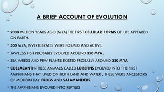 EVOLUTION.pptxfjdjsjwjwjajsksiwiwwiwiwisizjsj | PPTX