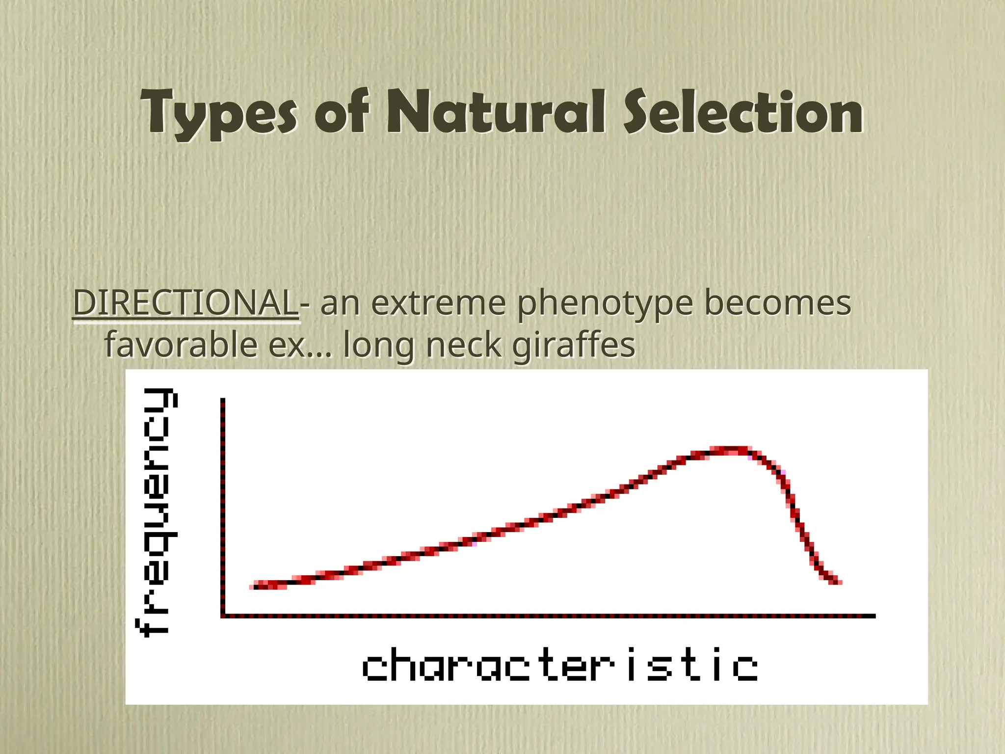 EVOLUTION- The Gradual Change Over Time.ppt