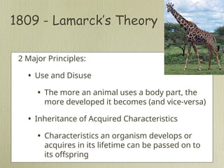 EVOLUTION- The Gradual Change Over Time.ppt