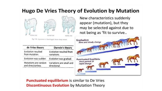 BIOLOGY FOR CLASS XII CBSE EVOLUTION.pptx