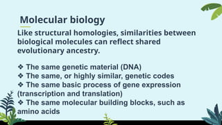 Evolution of human and all living things .pptx