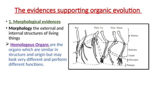 Evolution_lecture_faculty of science.pptx