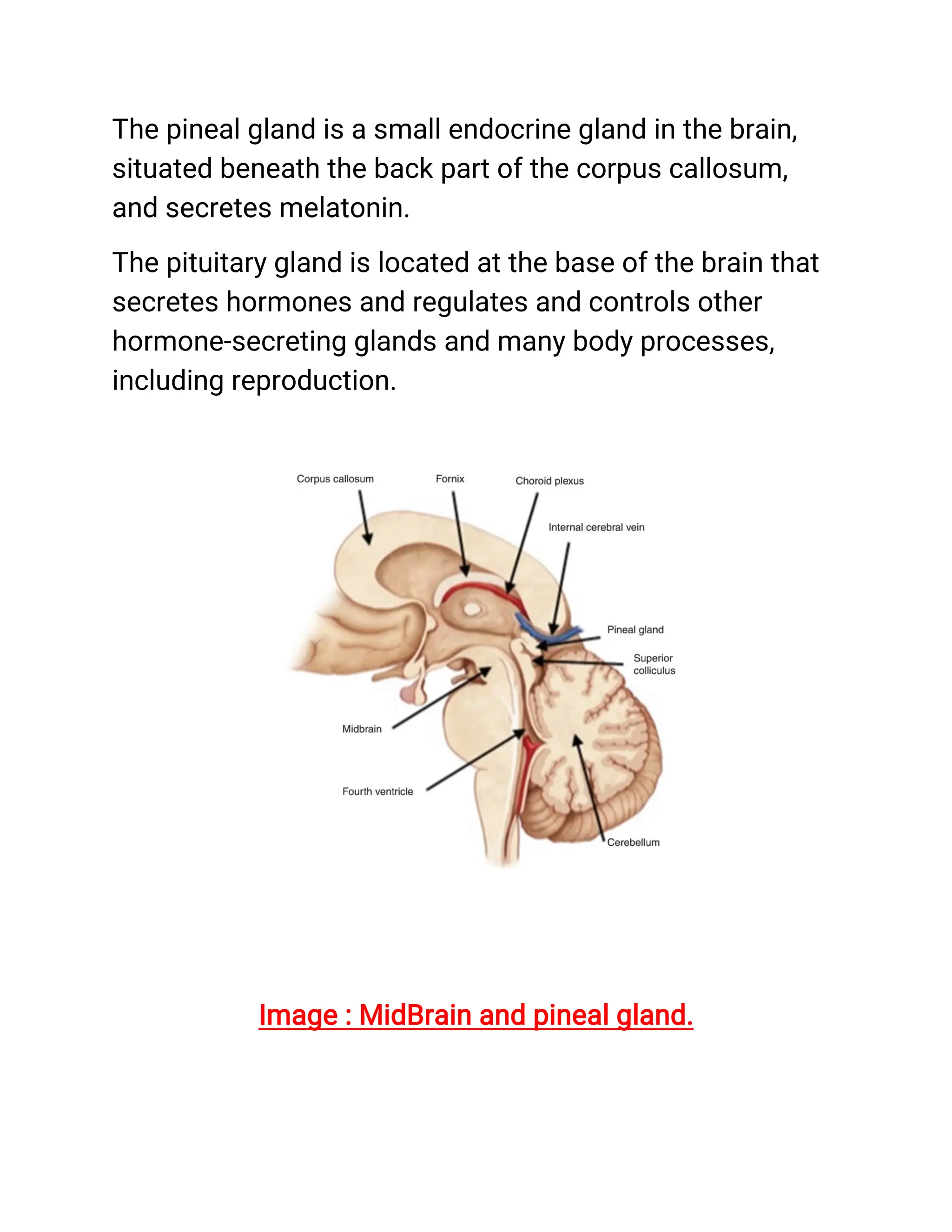 Evolution - Achieving Bliss and DNA implosion.pdf