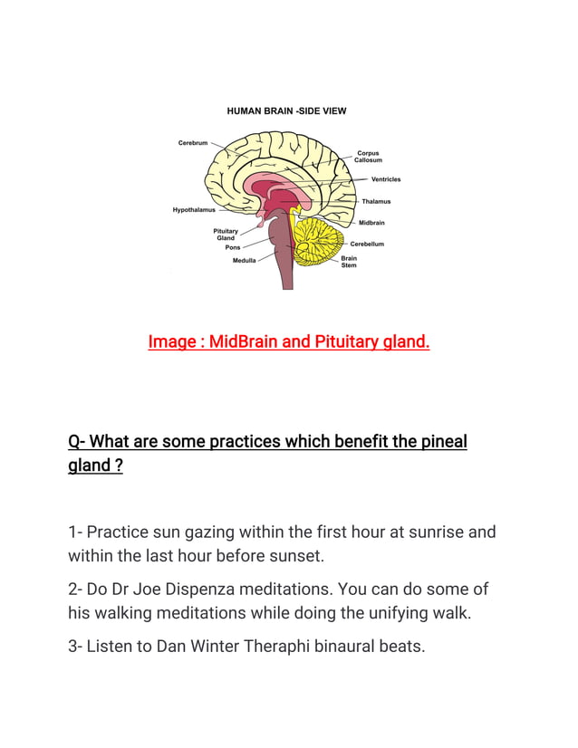 Evolution - Achieving Bliss and DNA implosion.pdf