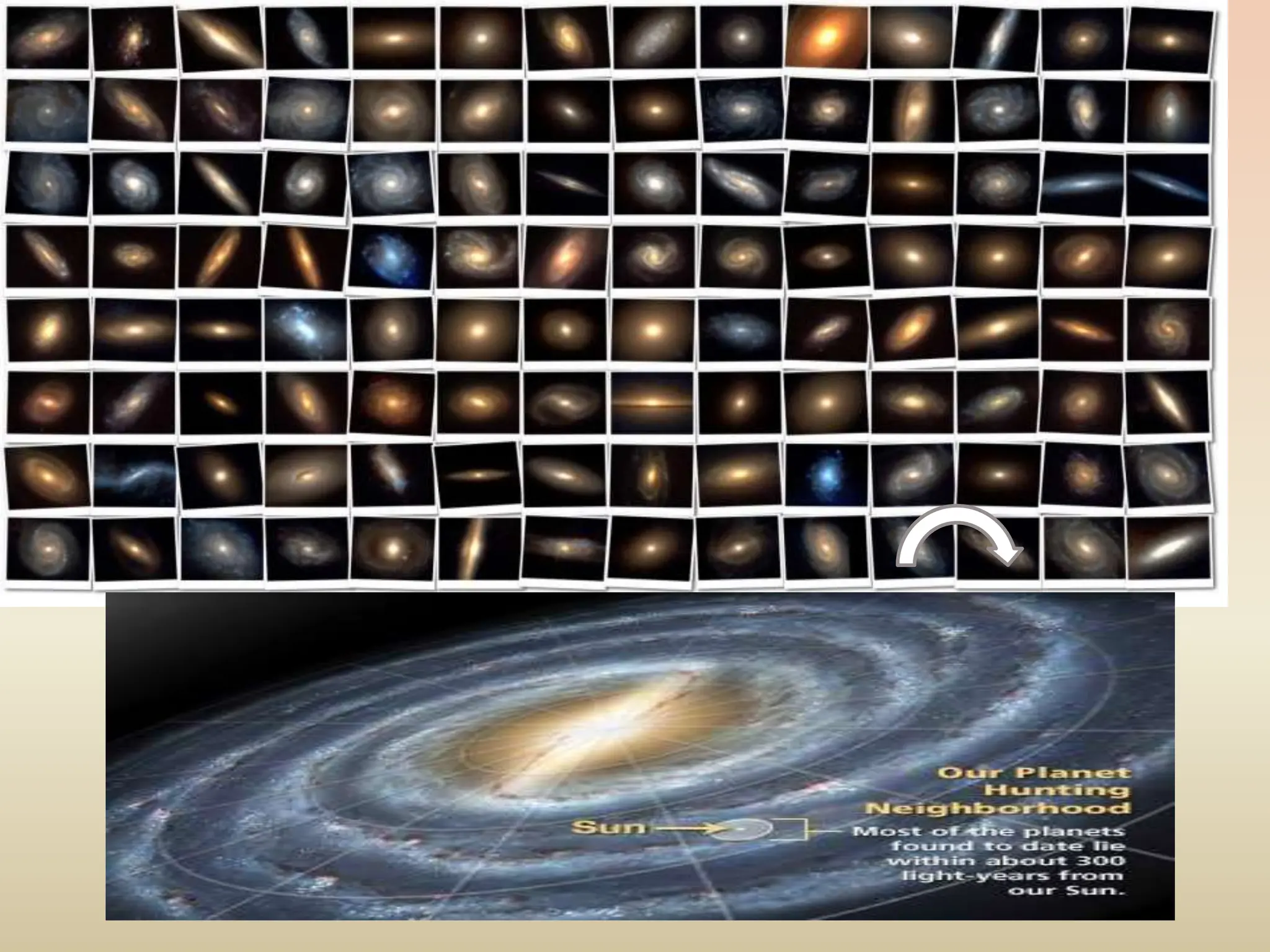 Evolution Ncert.pptx