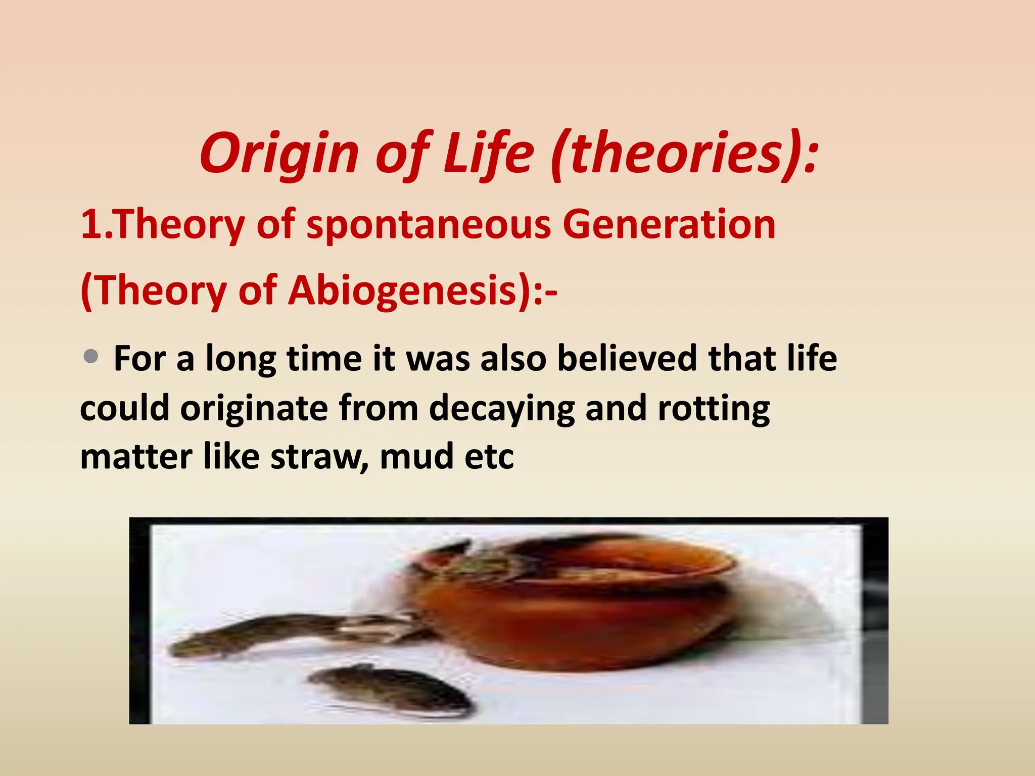 Evolution Ncert.pptx