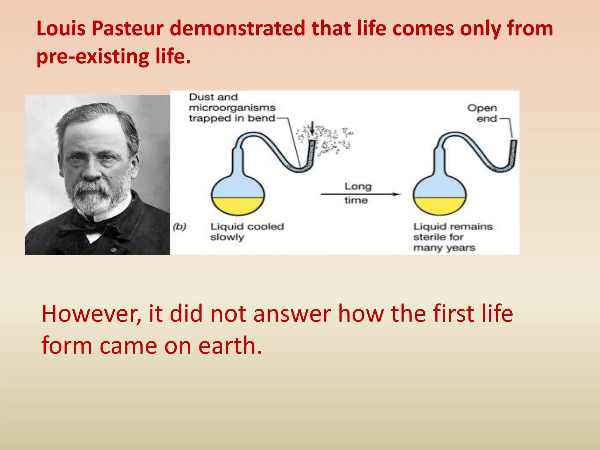Evolution Ncert.pptx