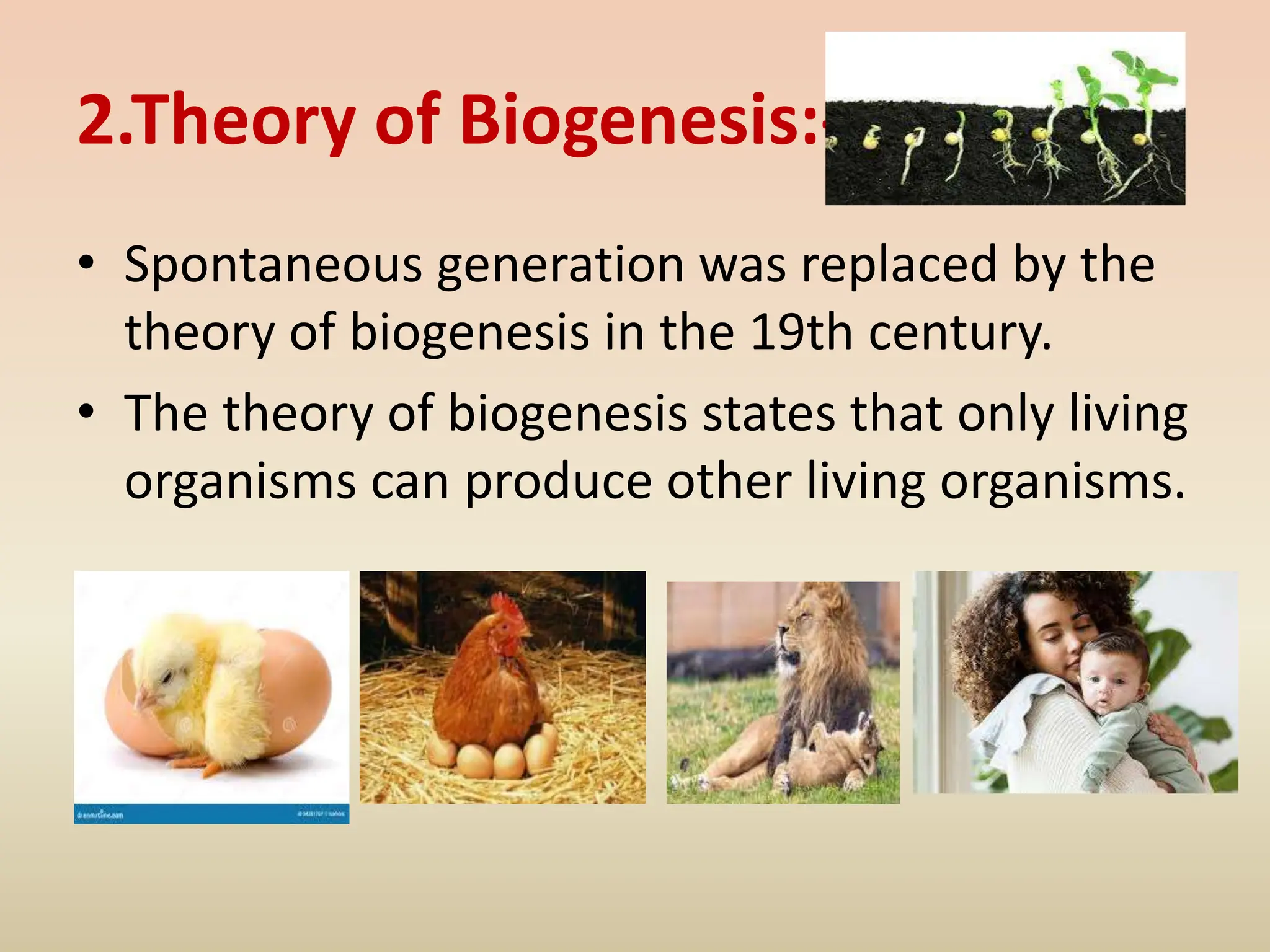 Evolution Ncert.pptx