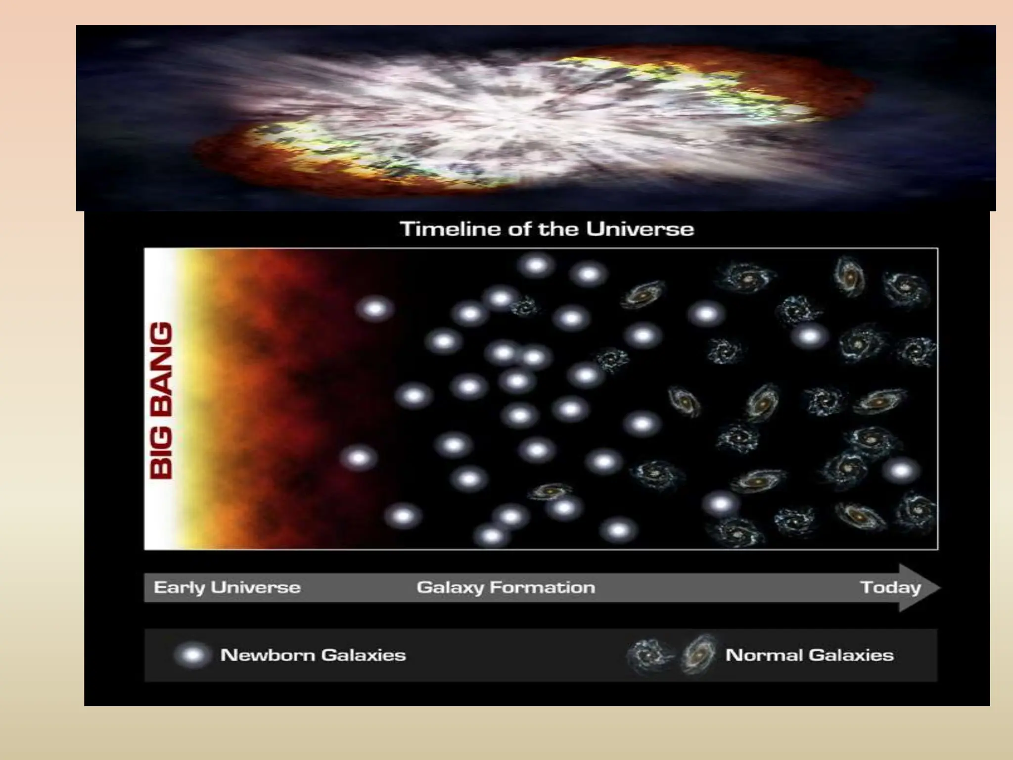 Evolution Ncert.pptx