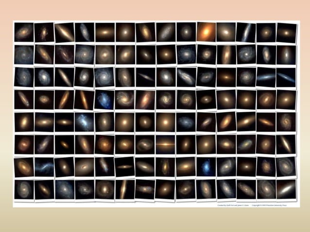 Evolution Ncert.pptx