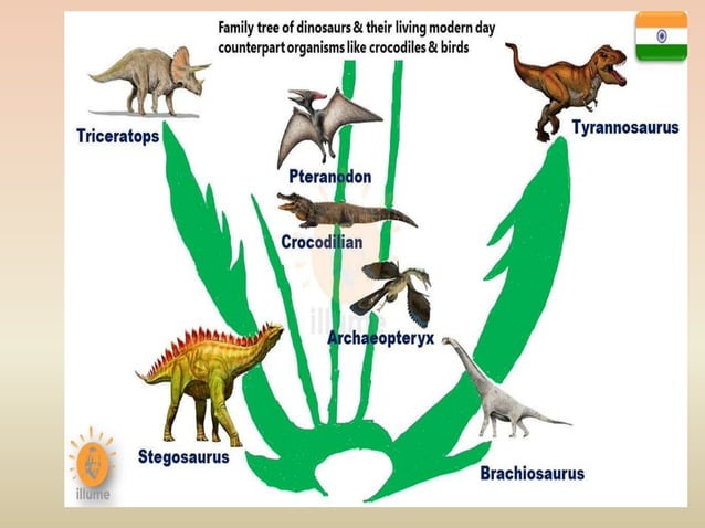 Evolution Ncert.pptx