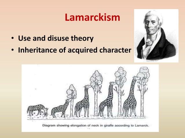 Evolution Ncert.pptx