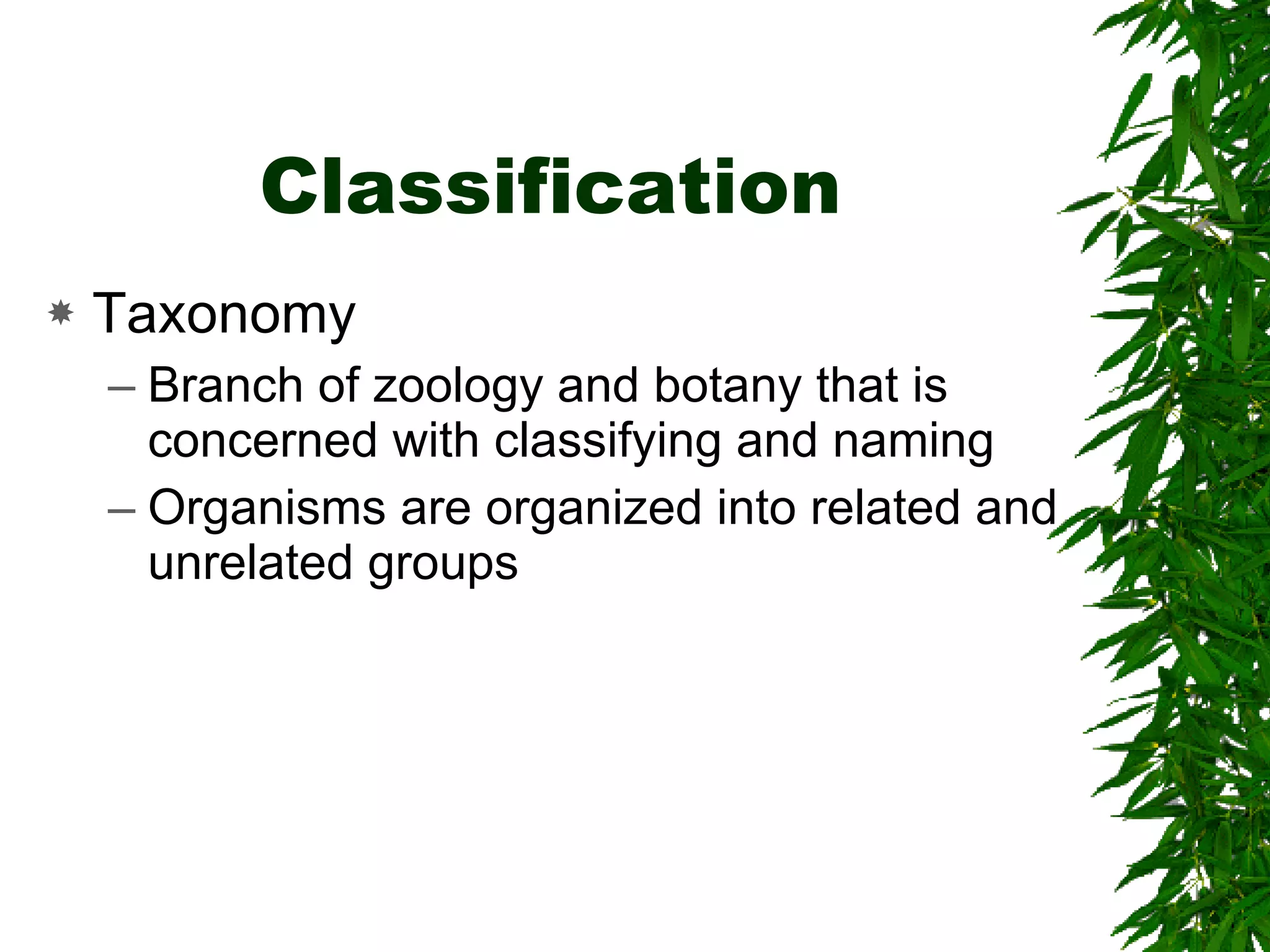 Evolution And Diversity Plants | PPT