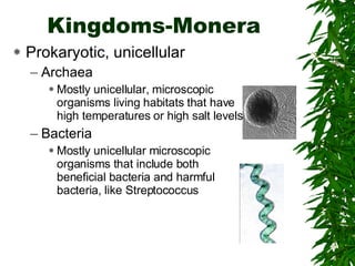 Evolution And Diversity Plants | PPT