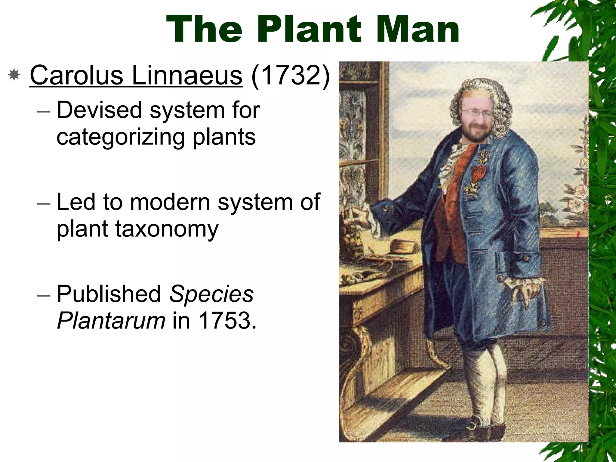 Evolution And Diversity Plants | PPT