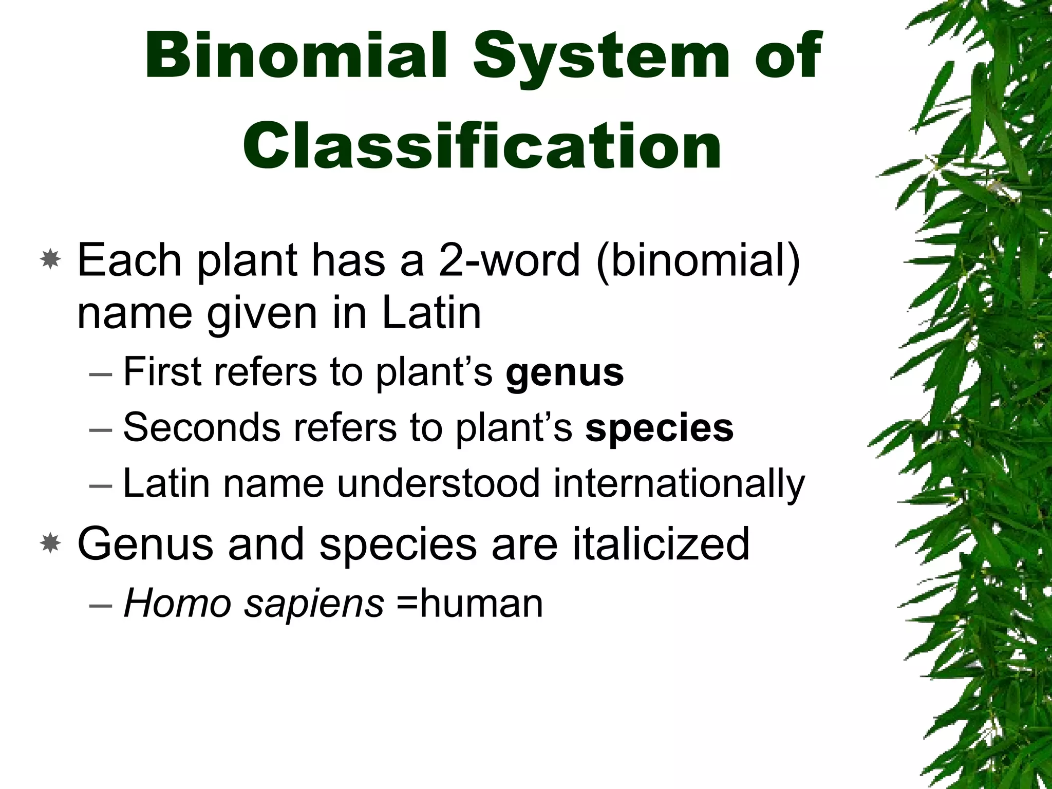 Evolution And Diversity Plants | PPT