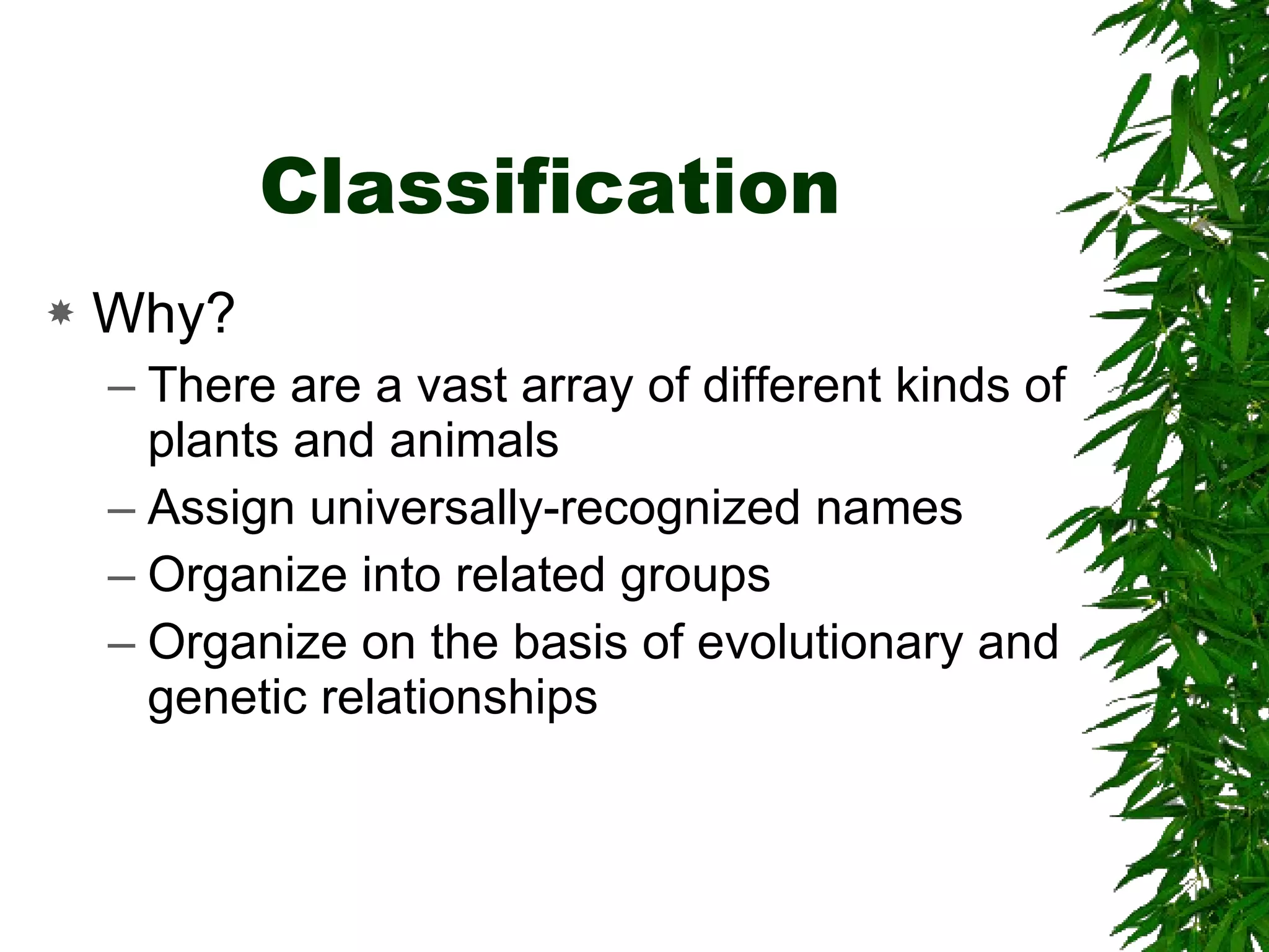 Evolution And Diversity Plants | PPT