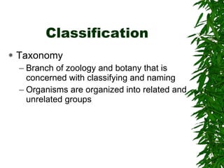 Evolution And Diversity Plants | PPT