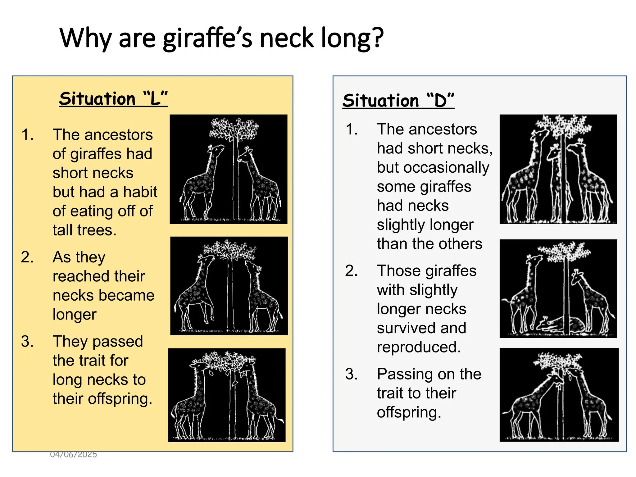 IGCSE Evolution-and-Natural-Selection.pptx