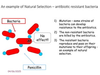 IGCSE Evolution-and-Natural-Selection.pptx