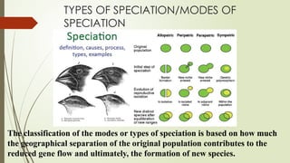 Evolution-and-Origin-of-Biodiversity.pptx