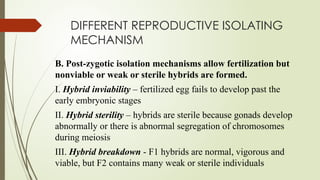 Evolution-and-Origin-of-Biodiversity.pptx
