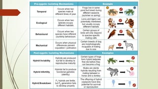 Evolution-and-Origin-of-Biodiversity.pptx