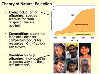 Evolution Biodiversity | PPT
