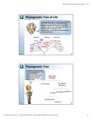Evolution concepts and mechanisms | PDF