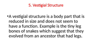 EVOLUTION-Copy.of presentation on evolution.pptx