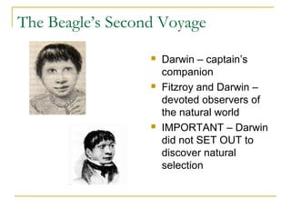 Evolution Part 1 | PPT