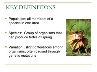 Evolution Part 1 | PPT