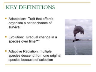 Evolution Part 1 | PPT
