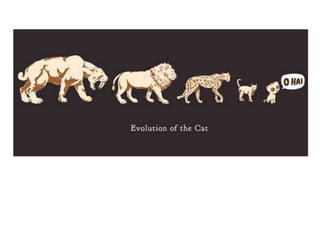 Evolution for kids | PPTX